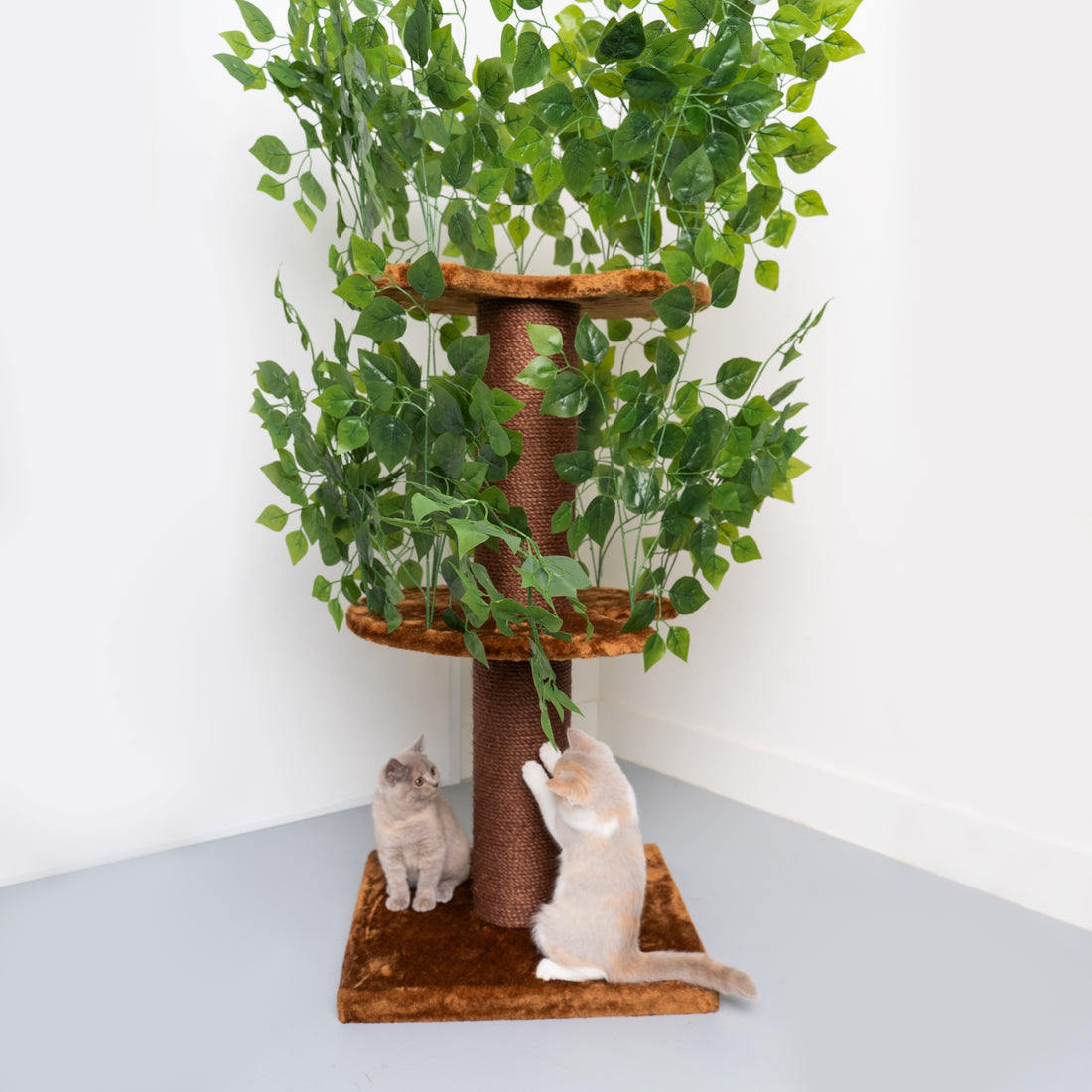 Cat Tree for large cats Cat Tree Natural Leaves - CatTreeKing USA