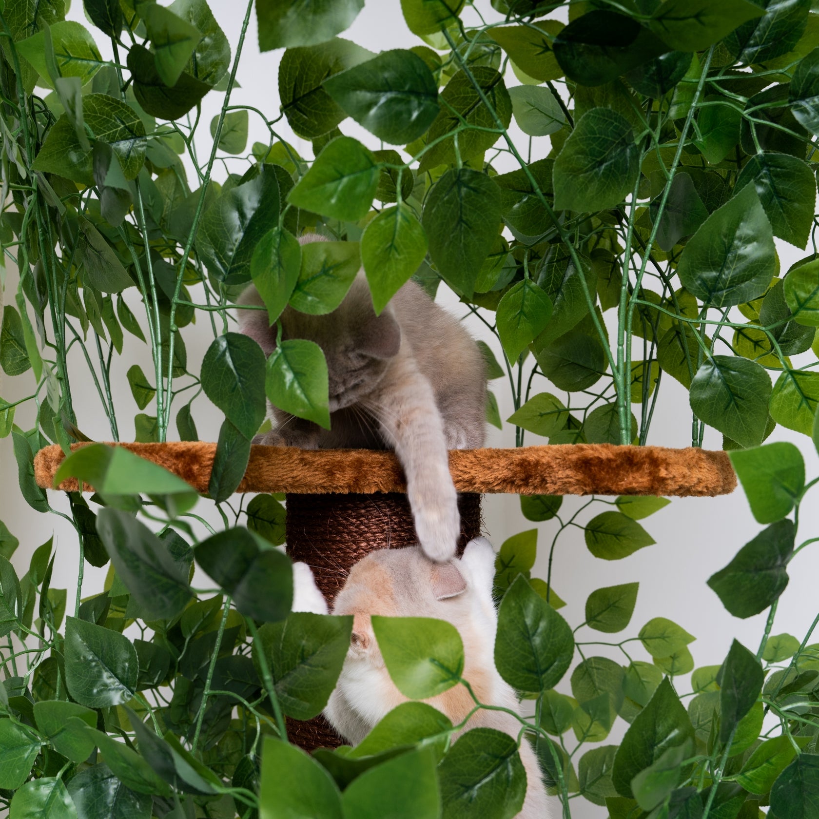 Cat Tree for large cats Cat Tree Natural Leaves - CatTreeKing USA