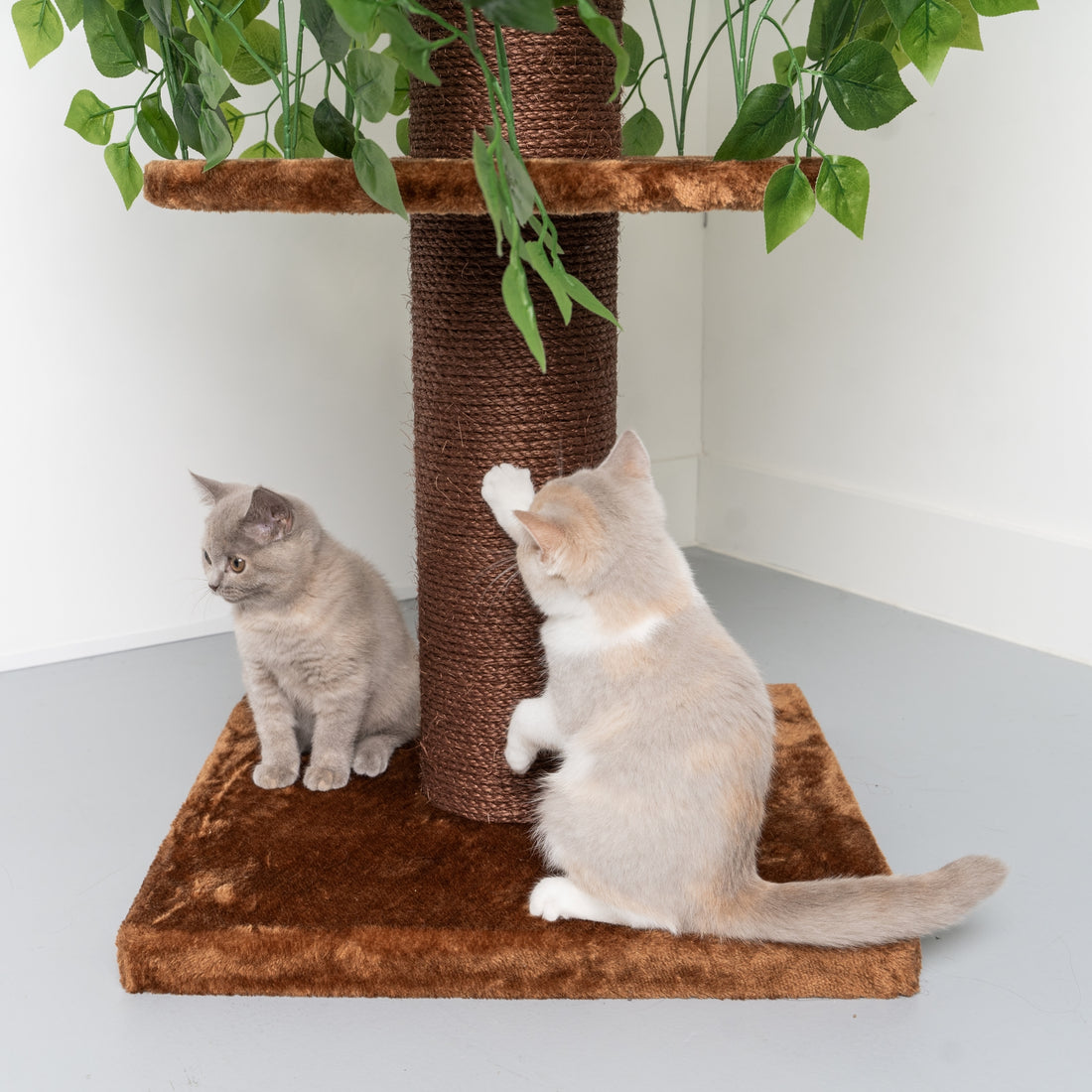 Cat Tree for large cats Cat Tree Natural Leaves - CatTreeKing USA