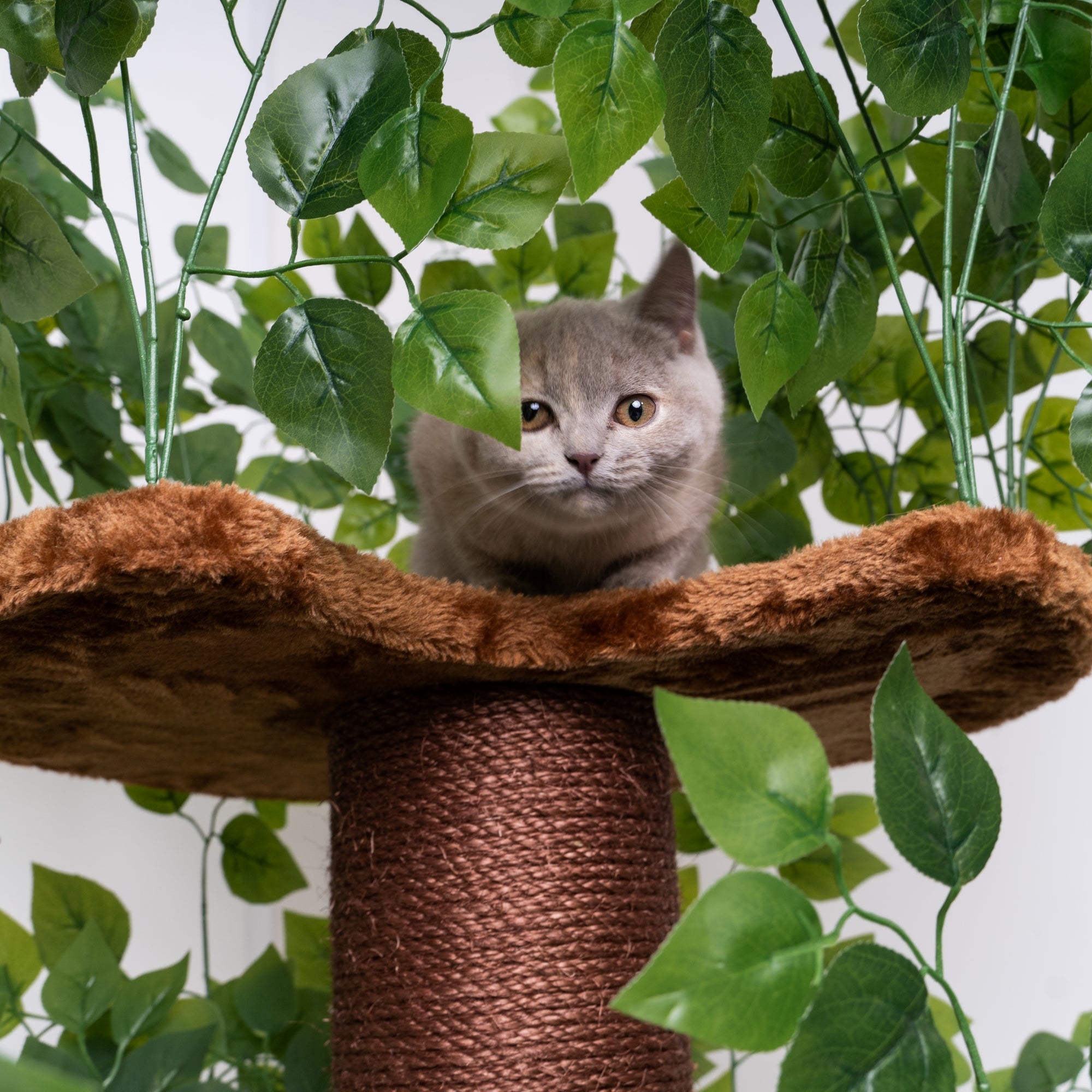 Cat Tree for large cats Cat Tree Natural Leaves - CatTreeKing USA