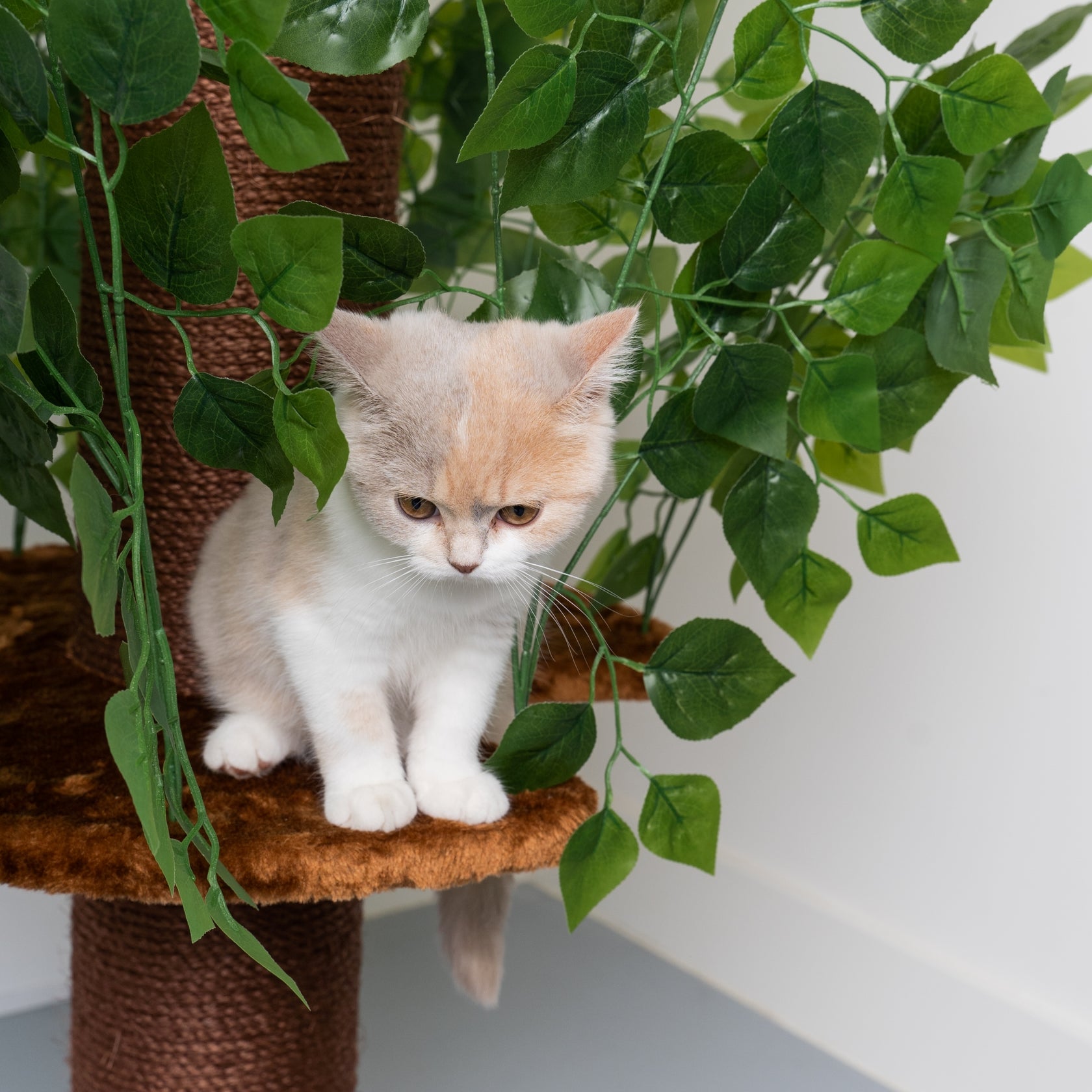 Cat Tree for large cats Cat Tree Natural Leaves - CatTreeKing USA