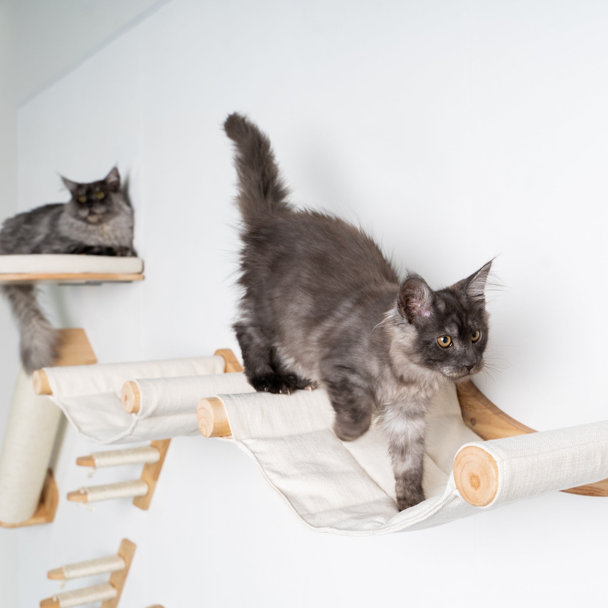 Cat Climbing Wall - Hammock de Luxe XXL (Beige) - CatTreeKing USA