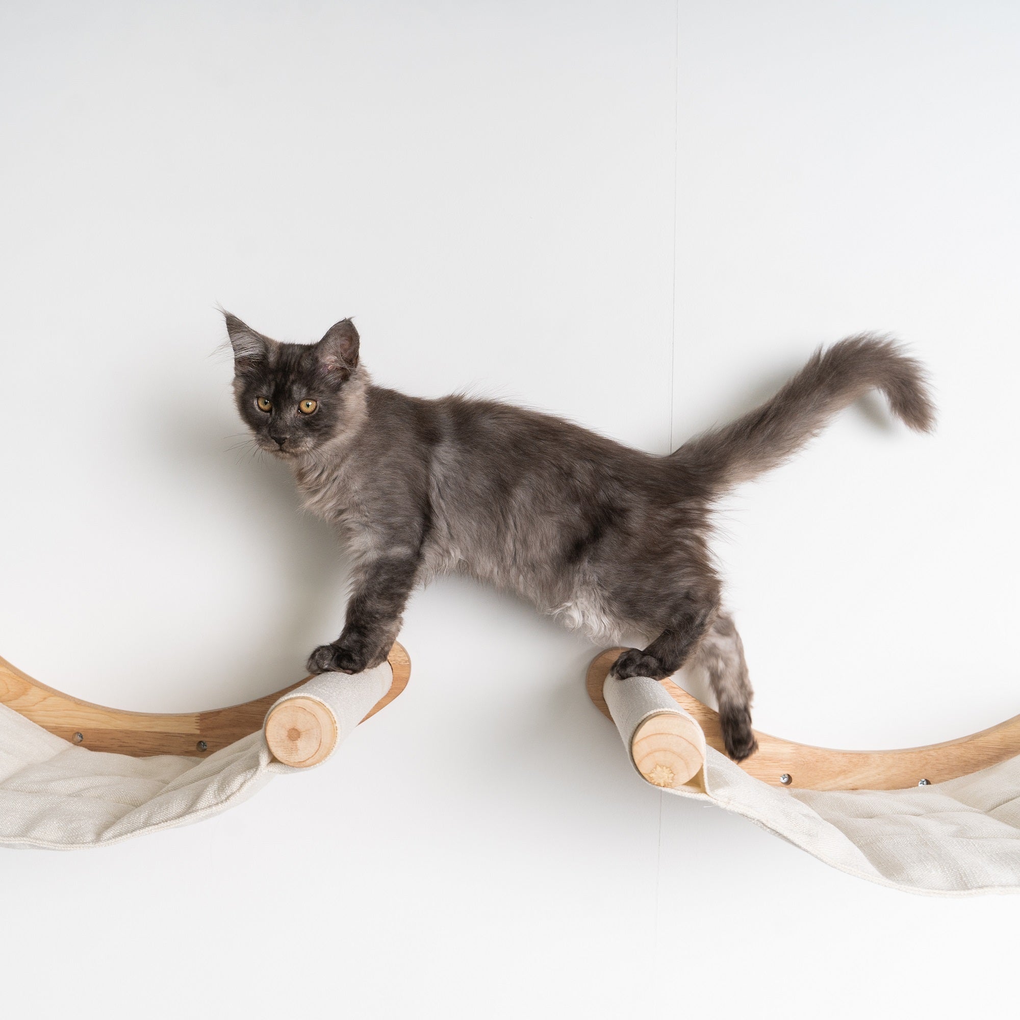Cat Climbing Wall - Hammock de Luxe XXL (Beige) - CatTreeKing USA